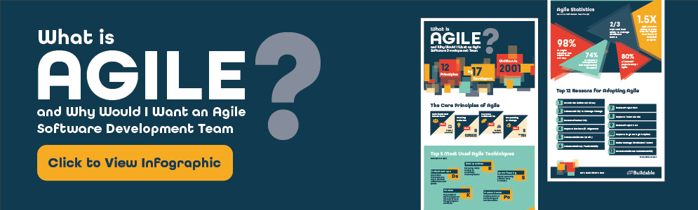  Infographic Why To Use An Agile Software Development Team 